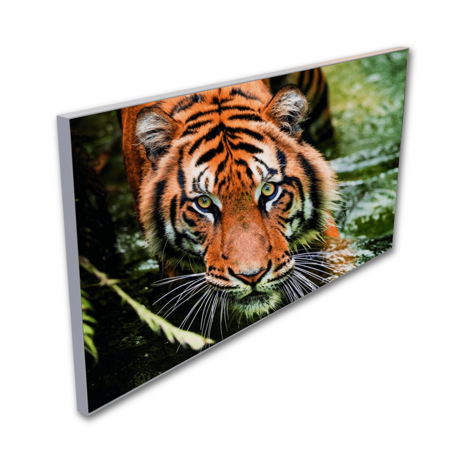 Fabric Frame Banner